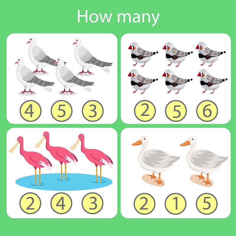 How Many? - Set 24 - iWorksheets | Free Interactive Worksheets ... How Many? - Set 24 - iWorksheets | Free Interactive Worksheets ...